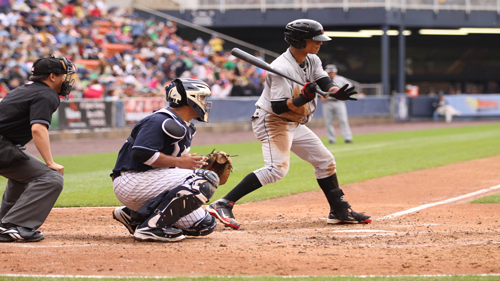 60" TV Screen Image #097 Baseball Game 1 (Screen Print Only. 60 Inch TV ...